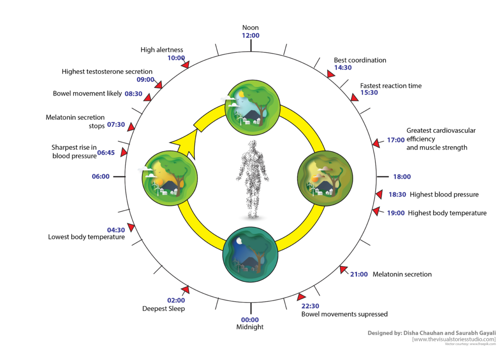 Circadian Rhythm Timing Matters Club Sciwri